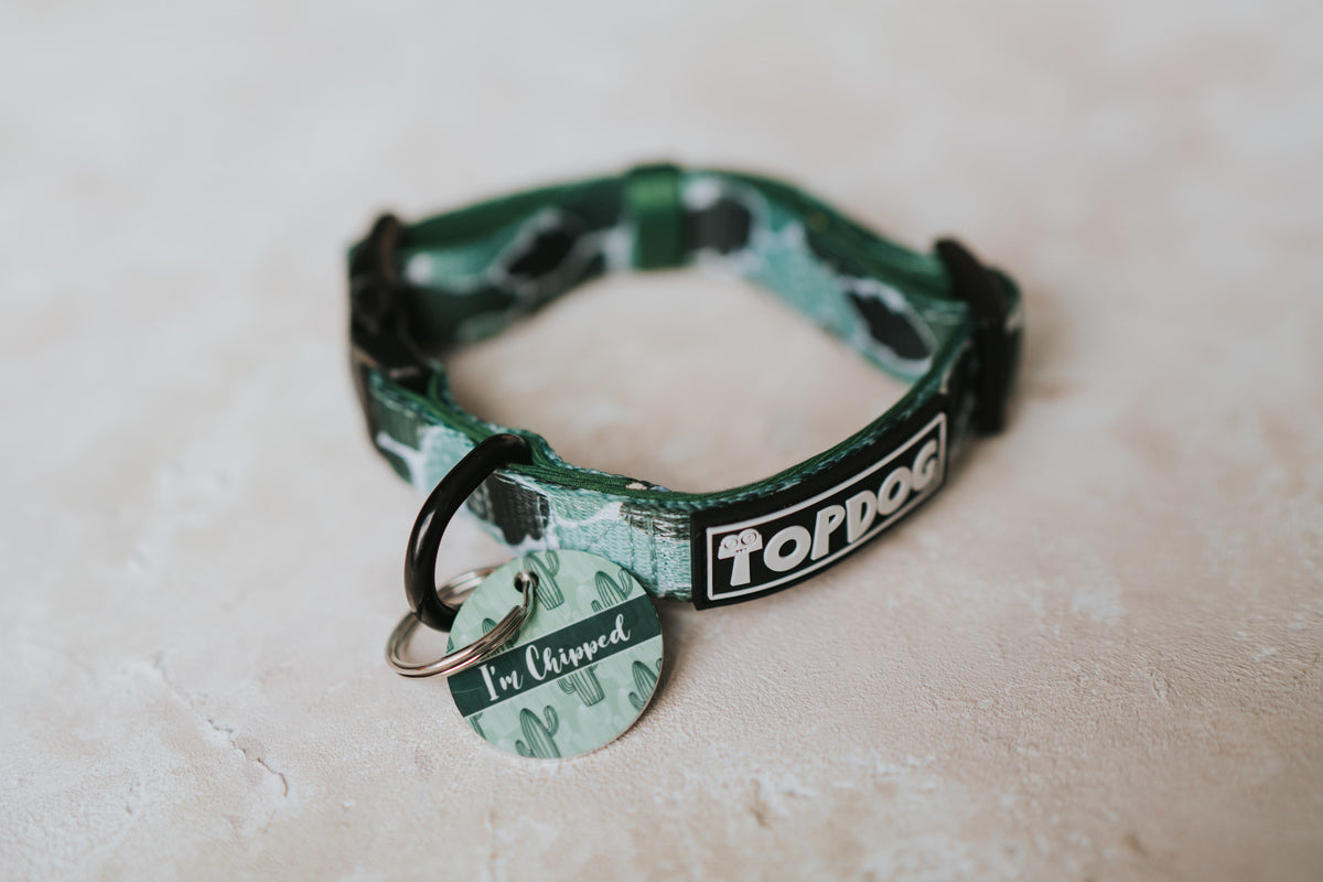 BeLeaf In Yourself – Dog collar – TopDog Harnesses